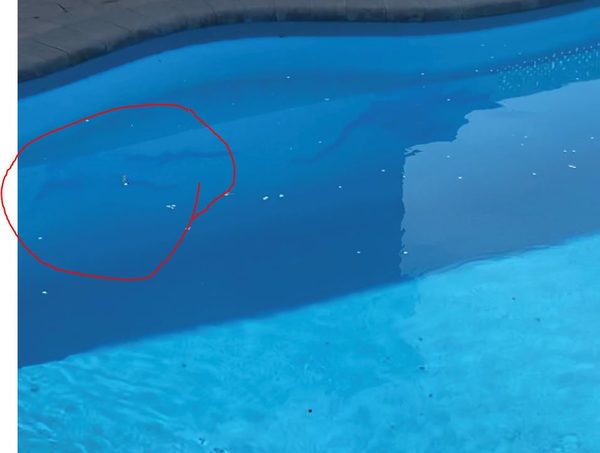 Swimming Pool - blue streak, what is it? - RedFlagDeals.com Forums