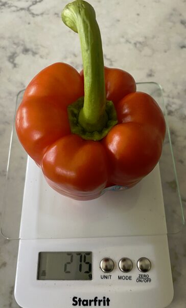 [Walmart] Walmart ON 94 cents per pound bell peppers (starts April 4 ...