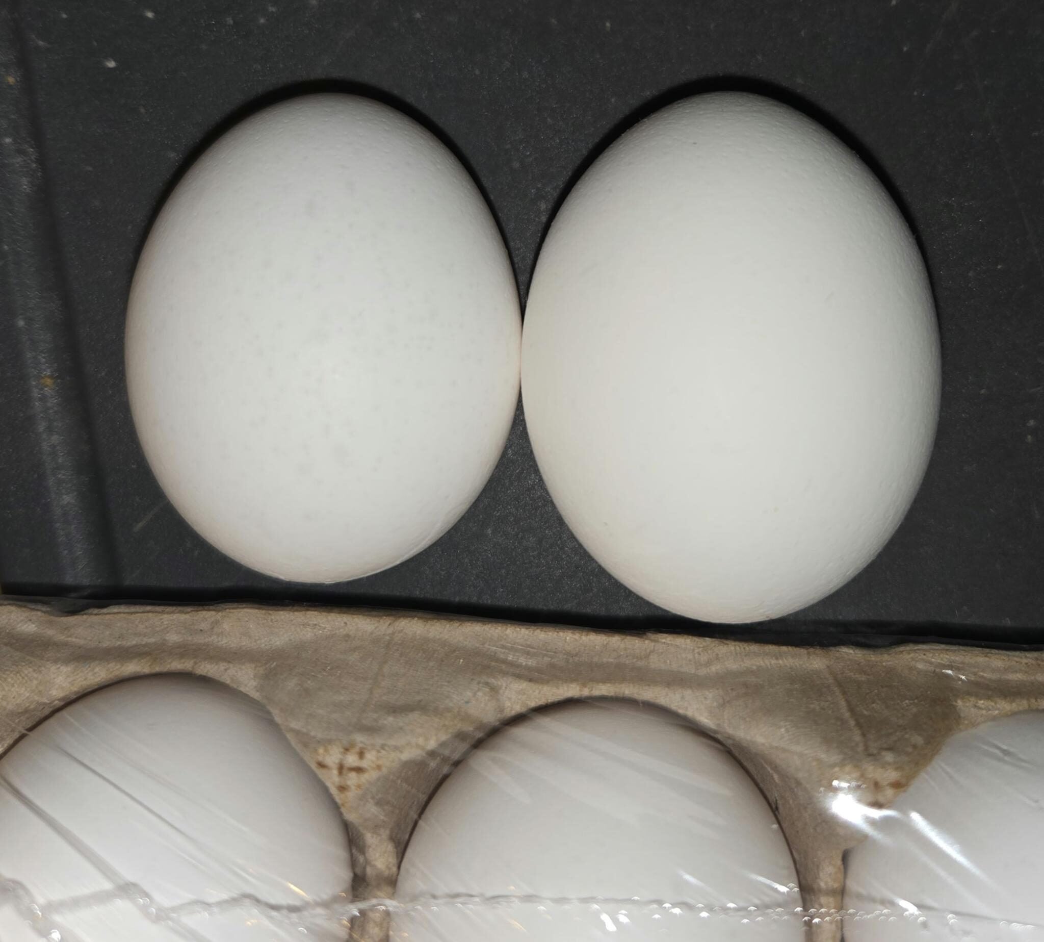 [No Frills] [ON] Jan 22 to Jan 25: NN Medium Eggs 30pk for $6.99 with a ...