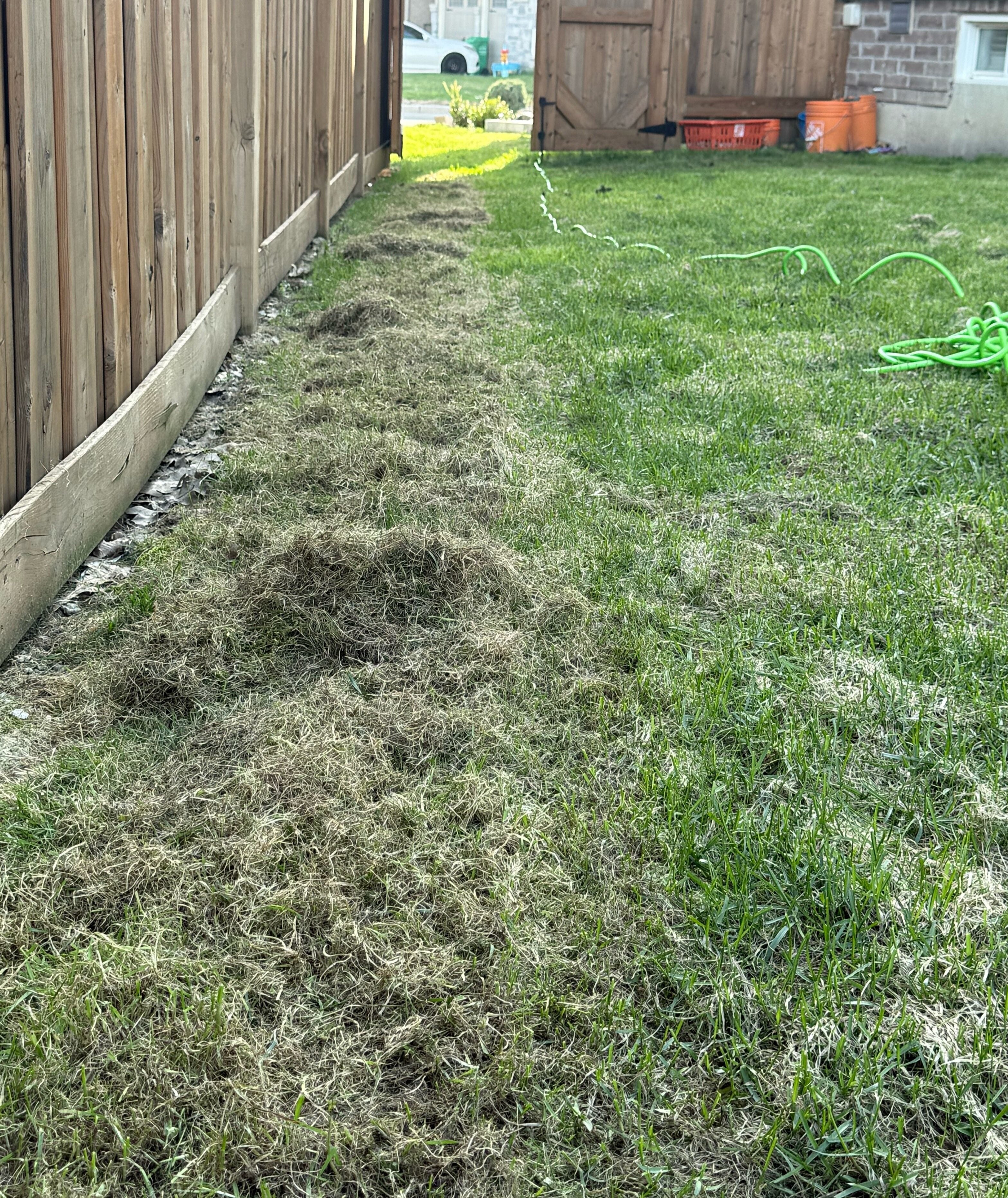 [Home Hardware] Lawn dethatcher benchmark home hardware - Page 2 ...
