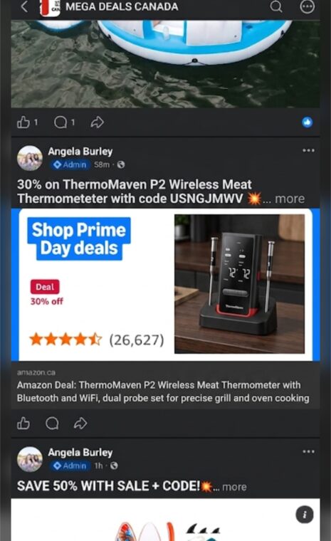 [Amazon.ca] ThermoMaven P2 Wireless Meat Thermometer -$79 ...